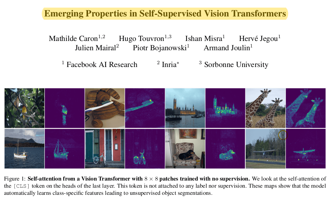 Dino Self Distillation With No Labels