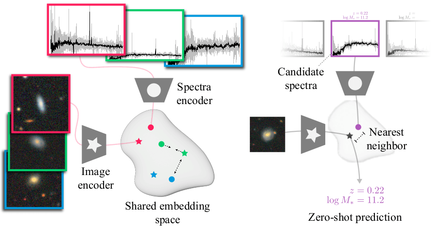 Dino Self Distillation With No Labels